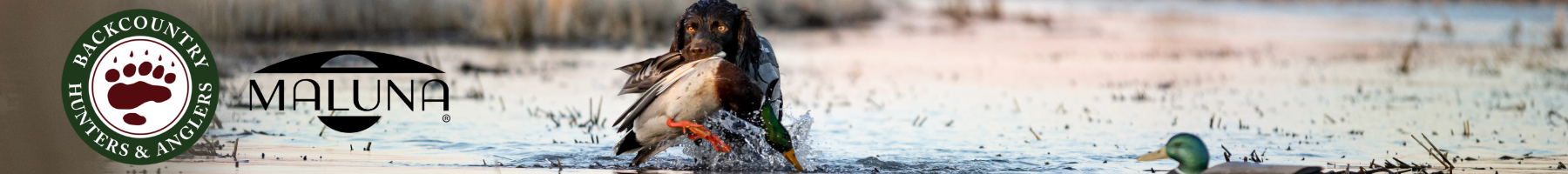 BHA Edition Maluna 22 – Maluna Coolers | EUFOURIC BRANDS