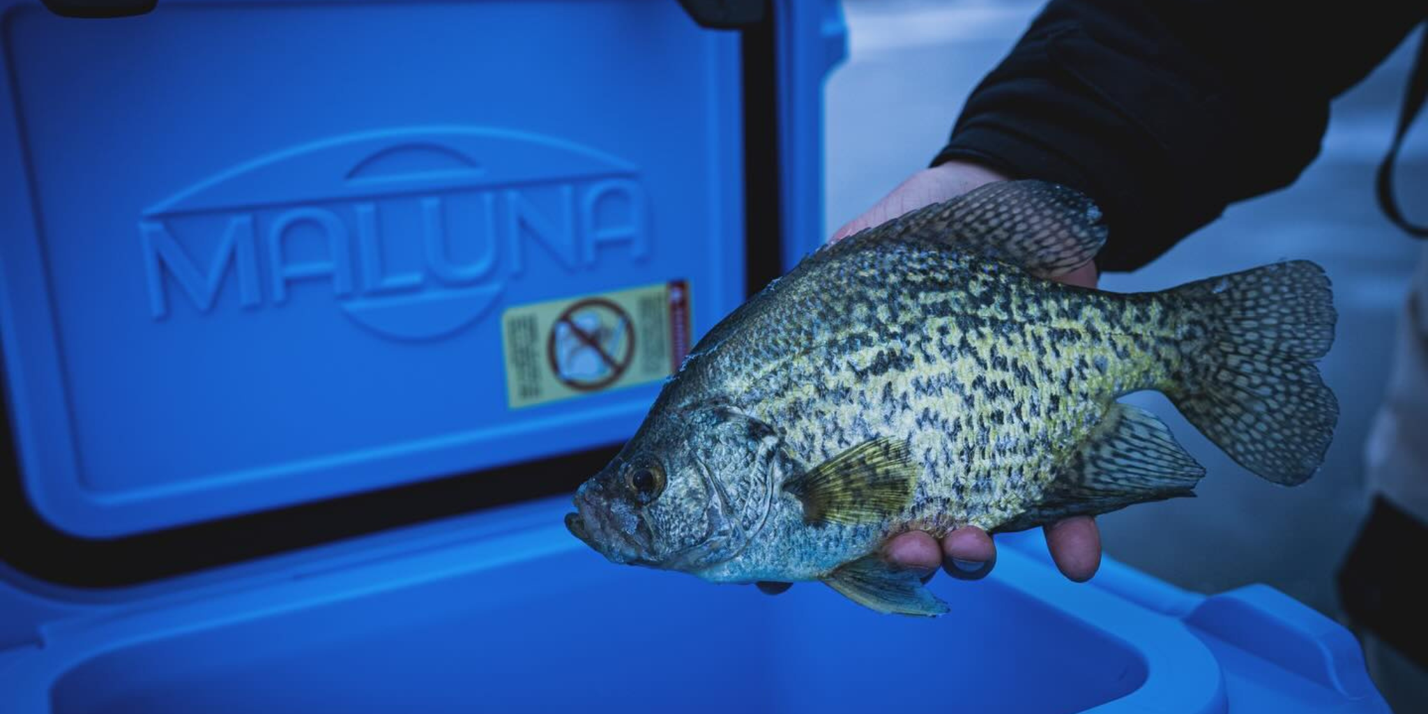 Crappie Chronicles Collection by Maluna – Maluna Coolers | EUFOURIC BRANDS
