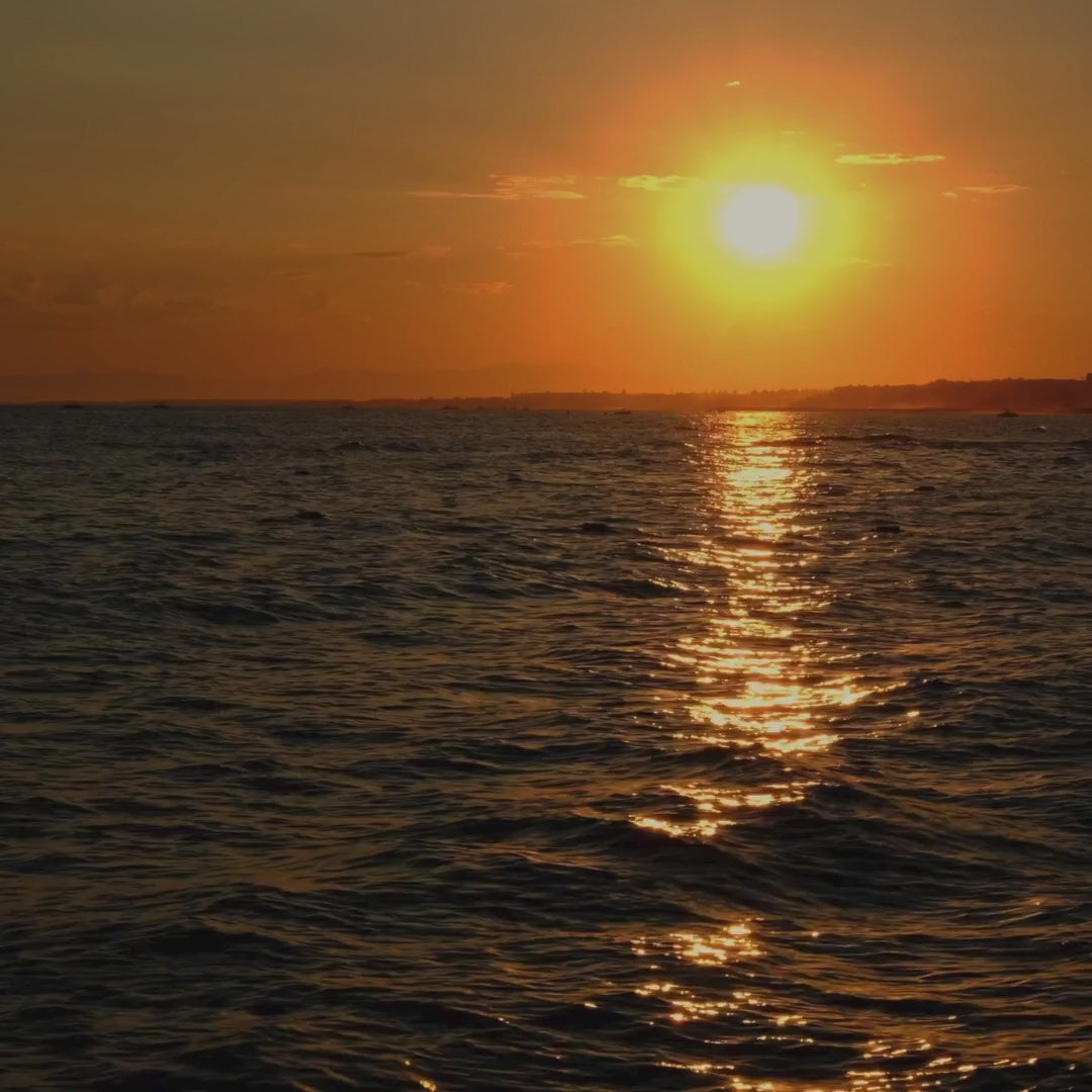 Maluna Coolers | Personalize or Upload a Design – Maluna Coolers ...